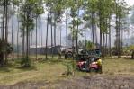 WILDFIRE: Mud Lake Complex | Big Cypress National Preserve [FL ...
