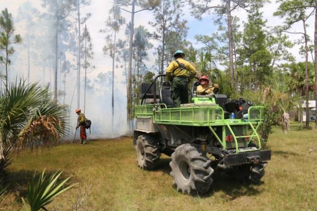 WILDFIRE: Mud Lake Complex | Big Cypress National Preserve [FL ...