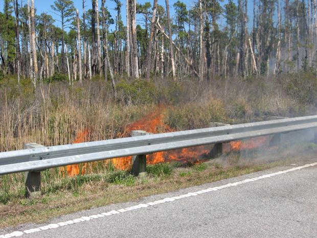 Fire in NC’s Alligator River NF Stubborn – NW Fire Blog