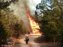 BREAKING NEWS: Human Caused Cap Fire Burns in Arkansas – NW Fire Blog