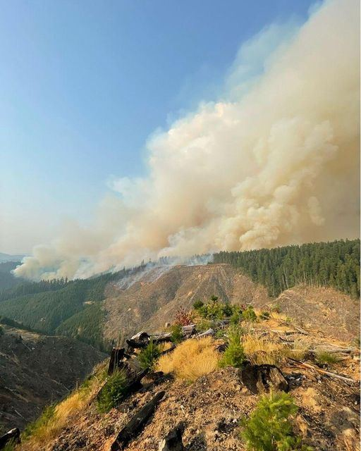 NEW: Tyee Ridge Complex | 1 | Oregon – NW Fire Blog