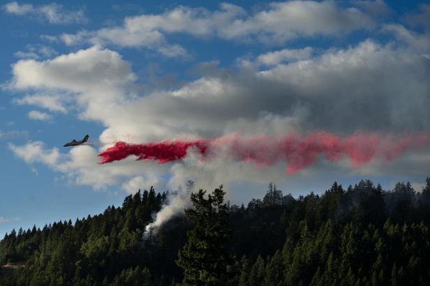 Tyee Ridge Complex Monday Fire Update – NW Fire Blog