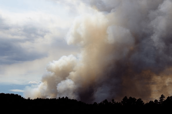 AZ Wildfire | Bravo Fire | June 6, 2024 – NW Fire Blog